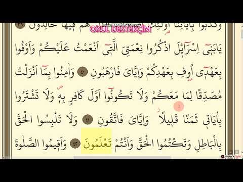 Kur'an Kursu | 11.Ders