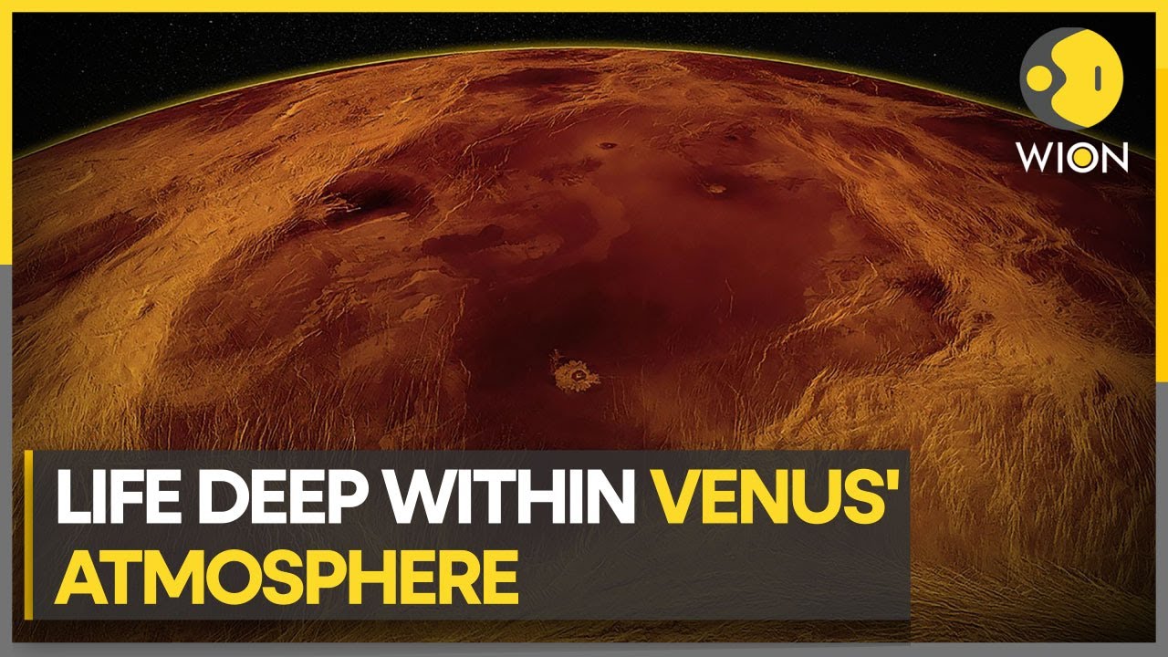 Traces of Phosphine in Venus' atmosphere raise excitement for potential life beyond Earth | WION ...