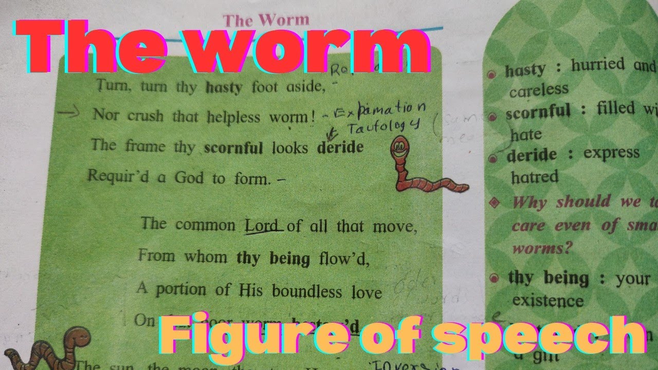 Figure of speech || The worm || eighth standard poem || English grammar ...