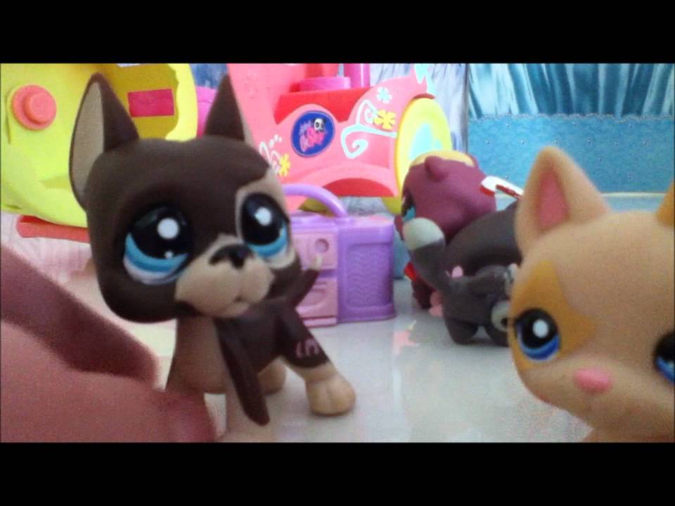 lps music video- party in the USA - YouTube