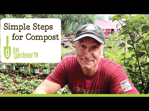 How To Start Office Composting