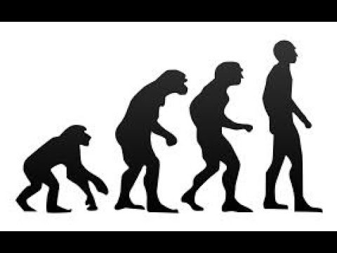 Whats wrong with evolution - YouTube