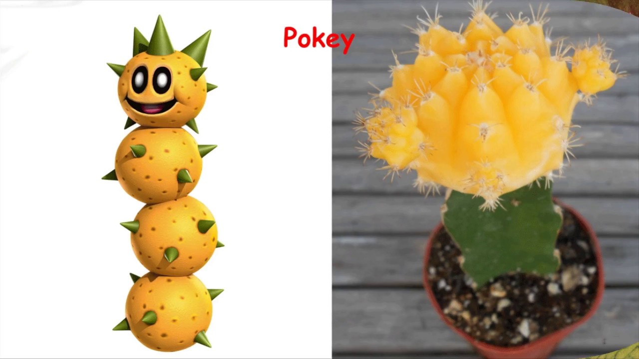 Mario Bros in Real Life - Mario Characters In Real Life - Most Perfect ...