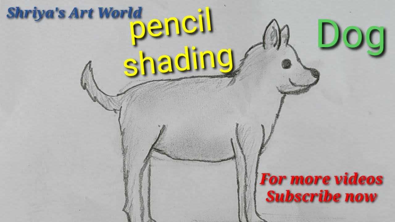 Dog Pencil shading / How to draw very easy dog with pencil /pencil ...