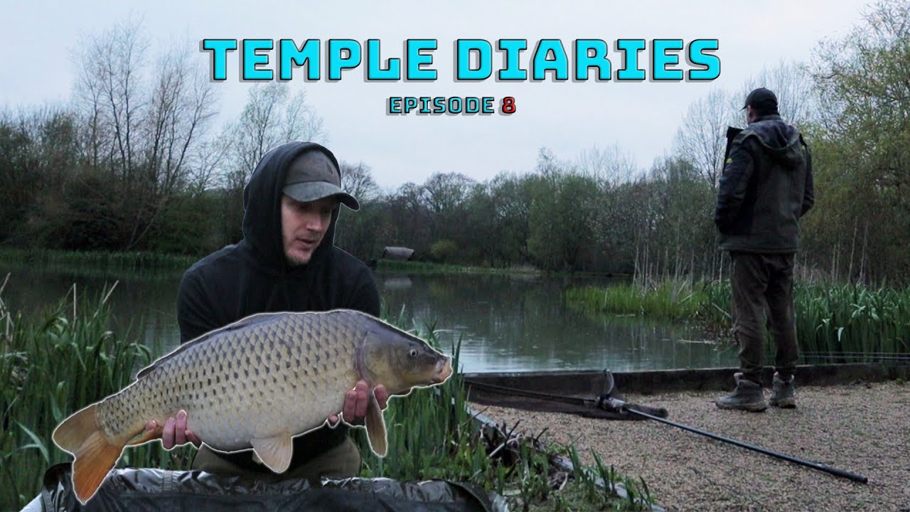 **CARP FISHING** The Road To Catching A 40lb Temple Carp Episode 8 ...