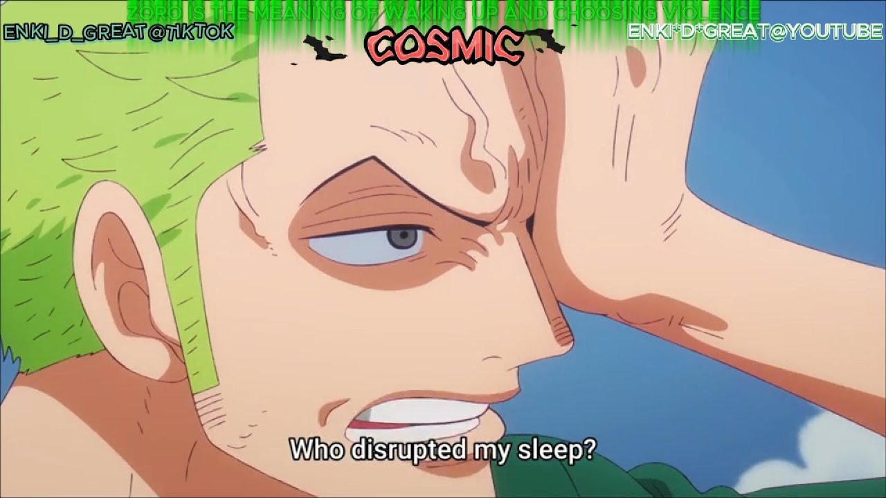 ZORO IS THE MEANING OF WAKING UP AND CHOOSING VIOLENCE #onepiece #zoro ...