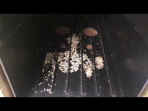 Help. My mailbox has been invaded by ants.