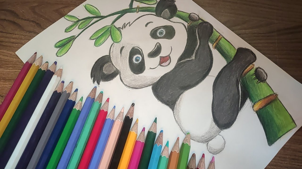 Easy pencil colour 🐼 panda 🐼 drawing for biginers | How to draw easy ...