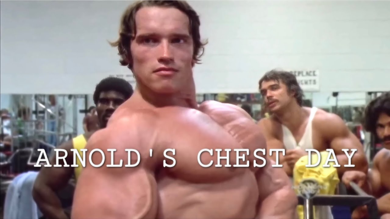 Universal chest day | Arnold's chest workout #arnold #chestworkout # ...