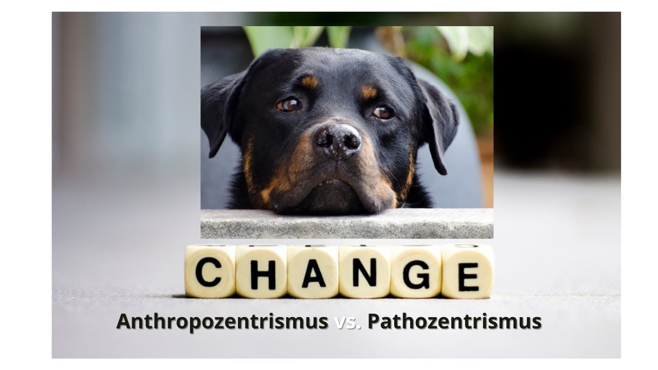 Naturethische Positionen: der Pathozentrismus von Peter Singer ...