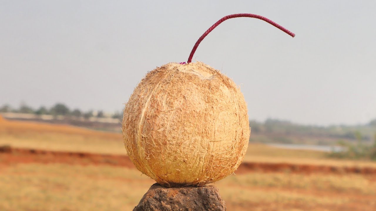 coconut bomb | नारियल बम - YouTube