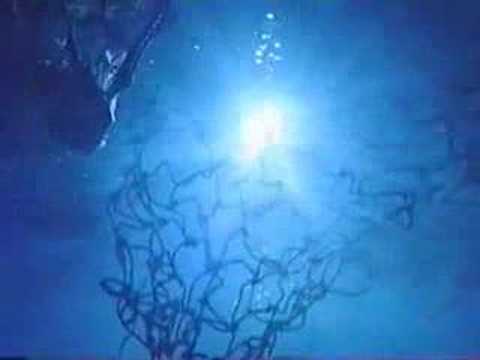 Ring_Of_Endless_Light - YouTube