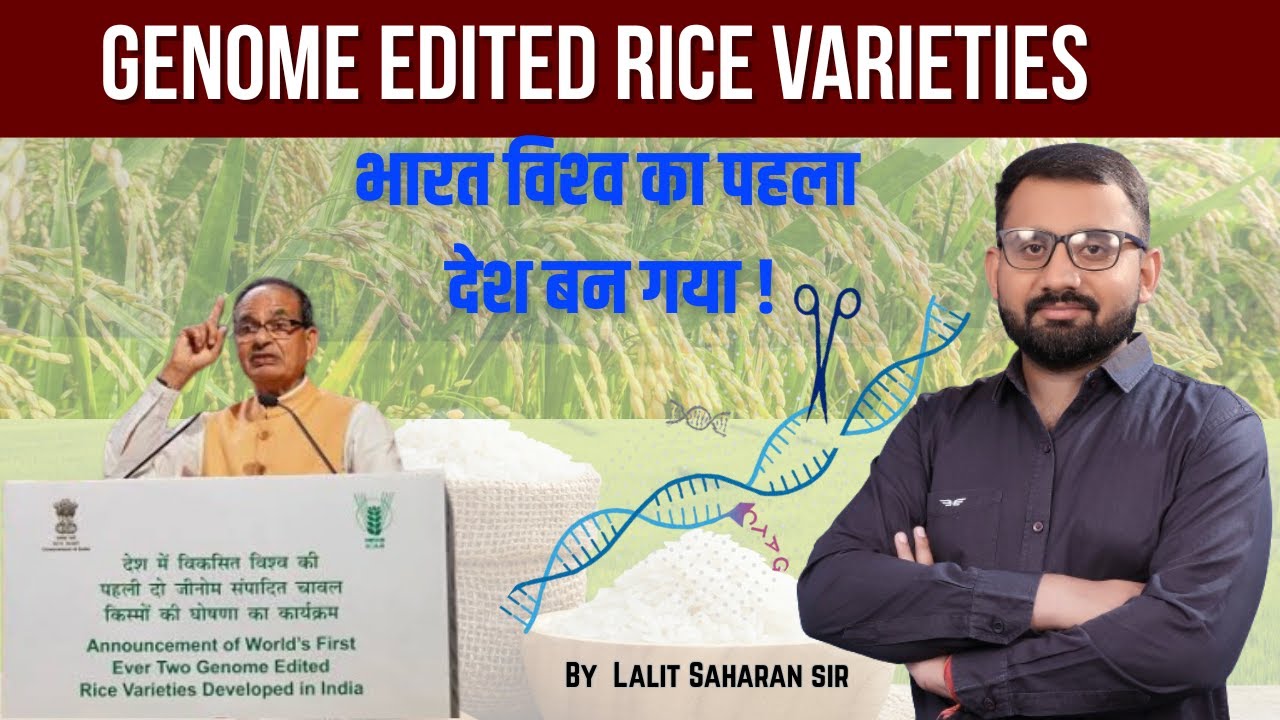 Genome Edited Rice, कमला और पूसा DSTA-1: भारत विश्‍व का पहला देश बना ...