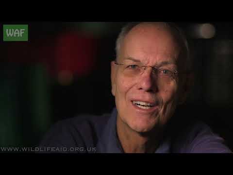 An evening with Wildlife Aid's Simon Cowell MBE. - YouTube