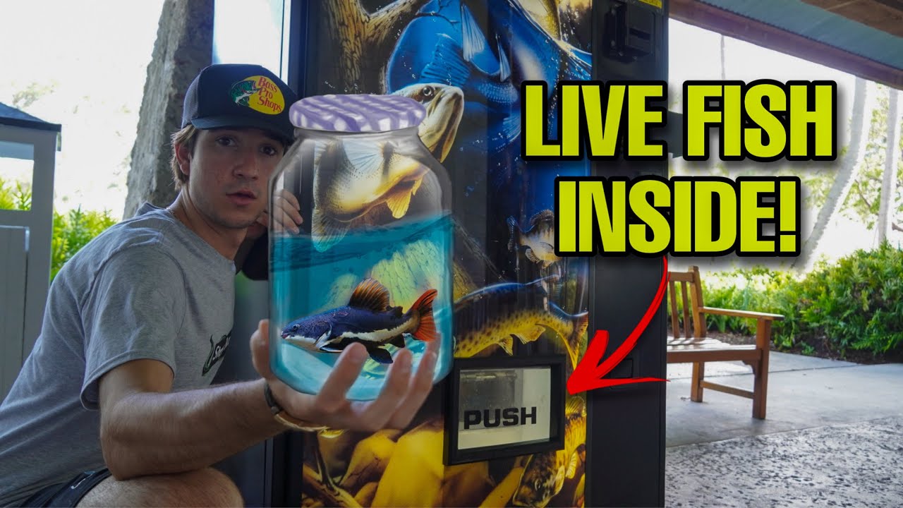 Buying LIVE FISH From a LIVE FISH VENDING MACHINE!! *what's inside ...