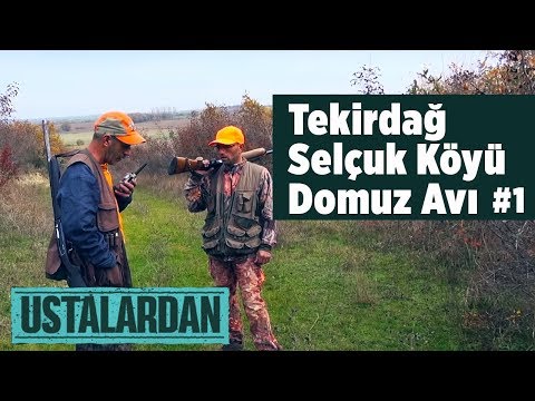 Tekirdağ Selçuk Köyü Domuz Avı S:2 B:1 Ustalardan  Yaban Tv -  Wildboar Hunting Turkey