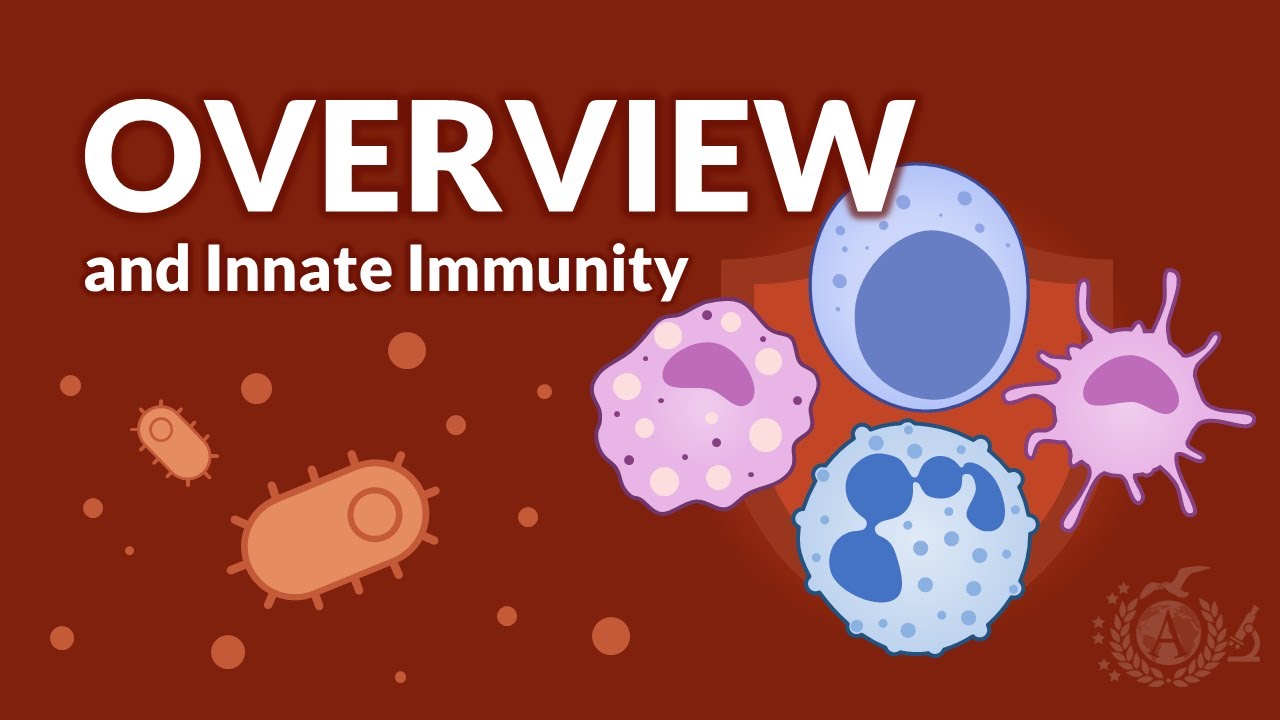 IMMUNOLOGY - Generalities and basic principles of immunity - YouTube