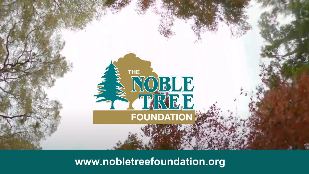 Noble Tree Foundation - YouTube