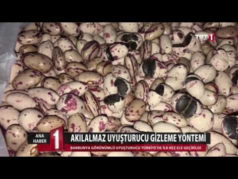 BARBUNYA GÖRÜNÜMLÜ UYUŞTURUCU - MEHTER EŞLİĞİNDE OPERASYON