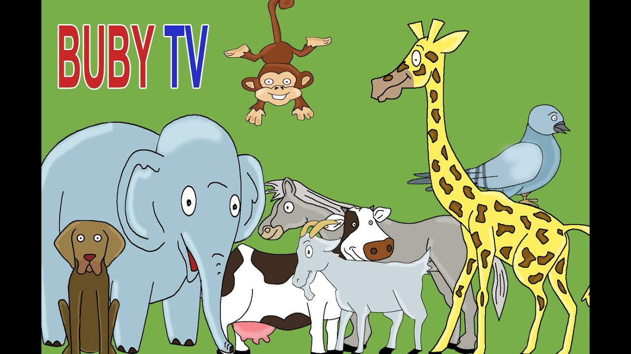 BUBY TV - Učimo da brojimo - YouTube