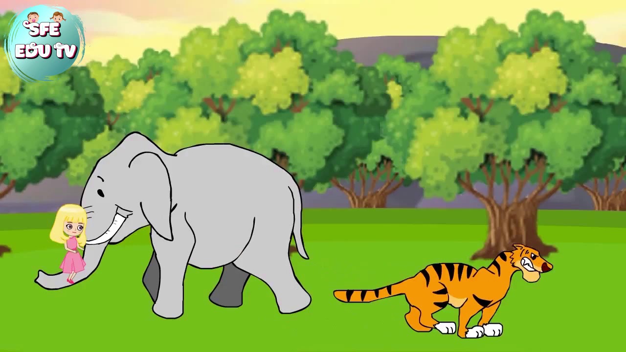 English For Kids Lesson 10 Wildlife - YouTube