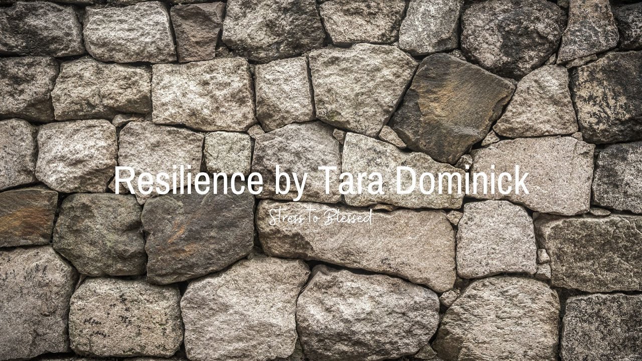Resilience by Tara Dominick - YouTube