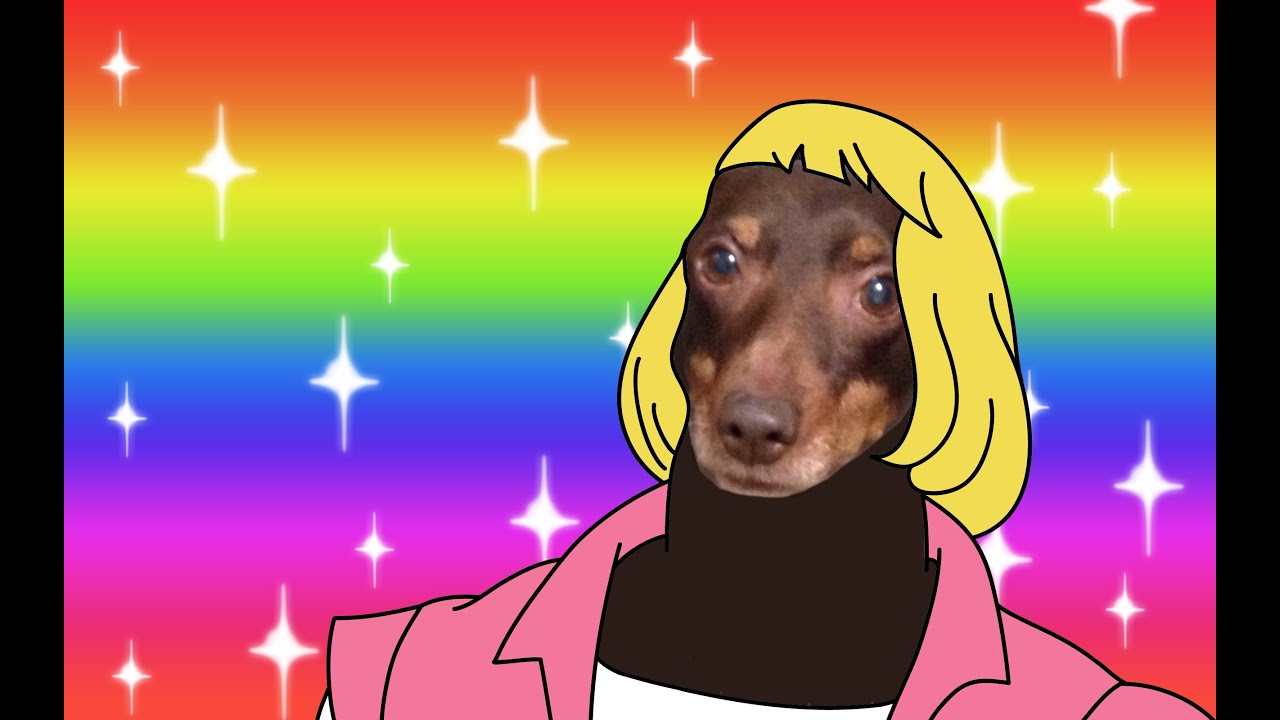 RINGO'S HEYEAYEAYEA MUSIC VIDEO - YouTube