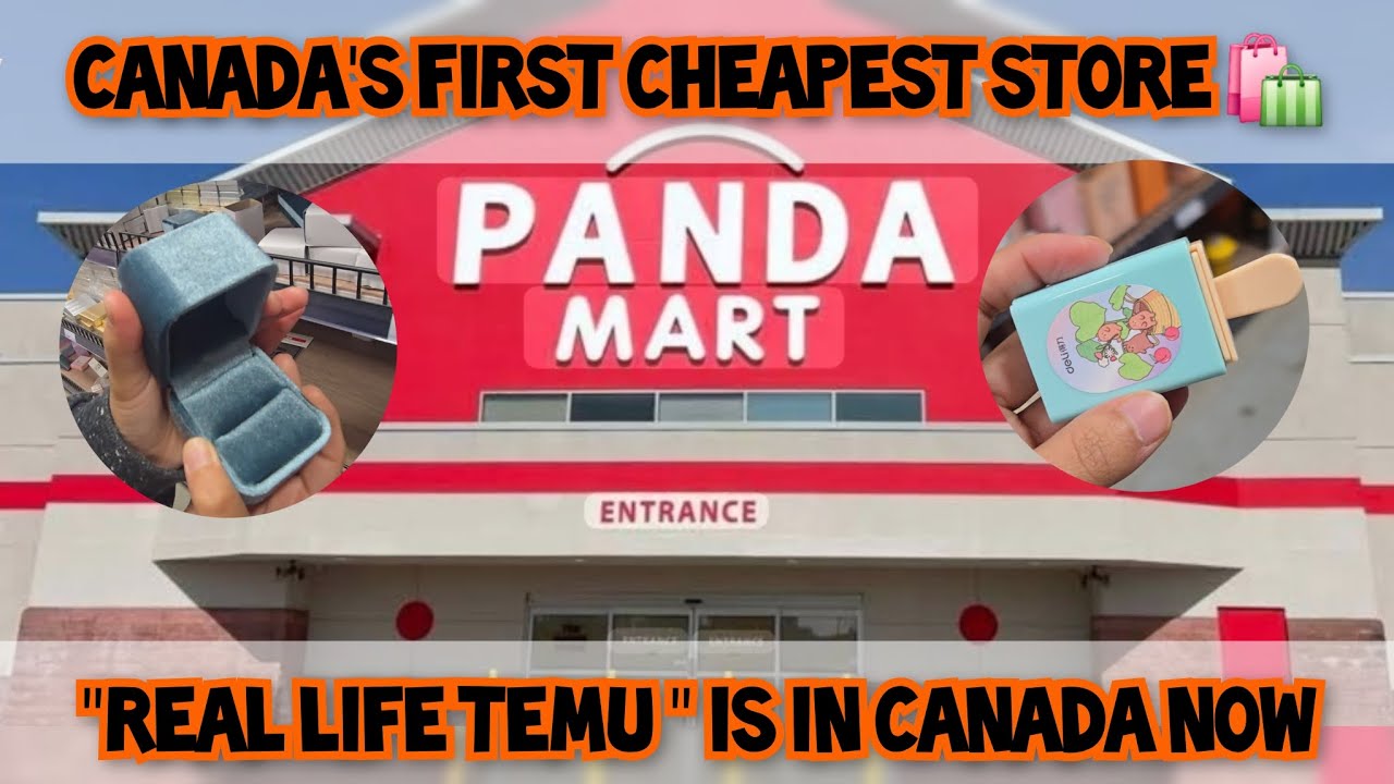 First Look Inside Panda Mart Canada 🐼 | The Real Life Temu Store ...