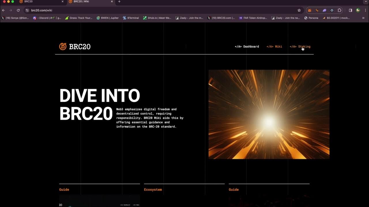 Ultimate guide for newbies | brc20.com where to start? - YouTube