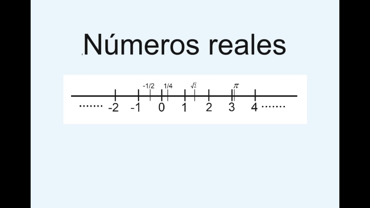 Numeros Reales Numeros Reales