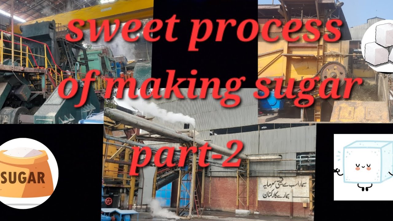 Process of | Making sugar 😋 | in sugar mill 🏭 part-2@TayyabRasheed77 ...