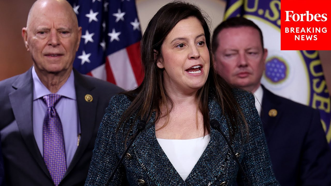 Elise Stefanik: 'Democrats Are Shredding The Constitution' In Attempts ...