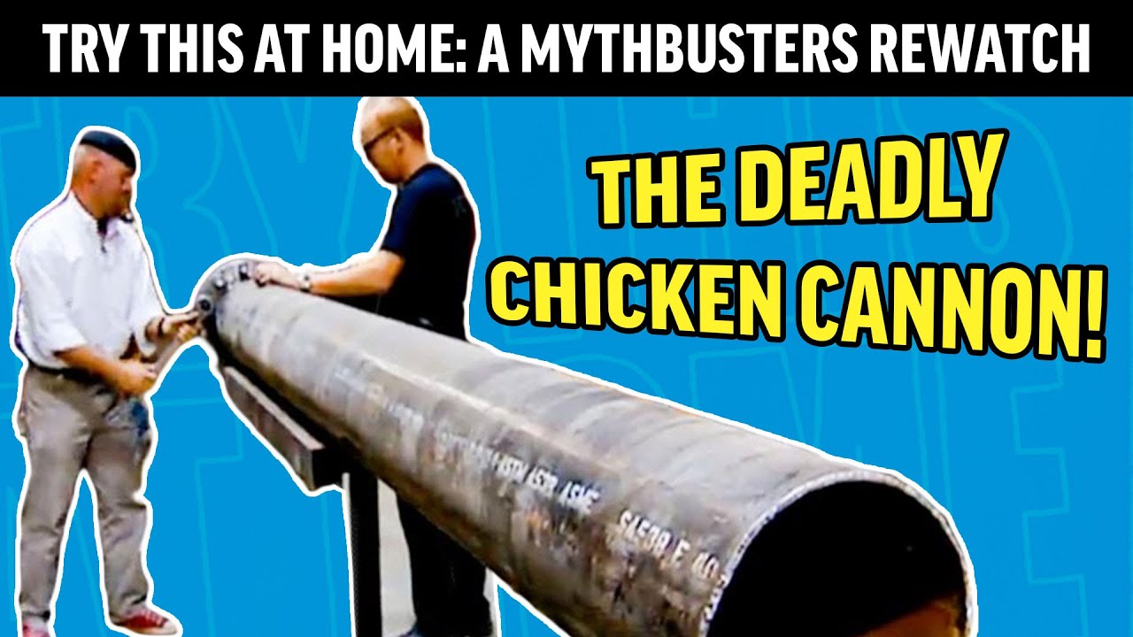 #mythbusters 210: Chicken Gun / Octopus Pregnancy / Killer Washing ...