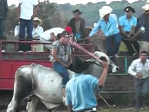 rrancho cerecuaro gto #5 - YouTube