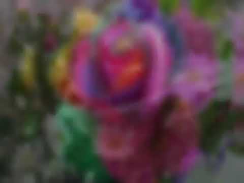 Lale🌷Gül🌹Papatya🌼