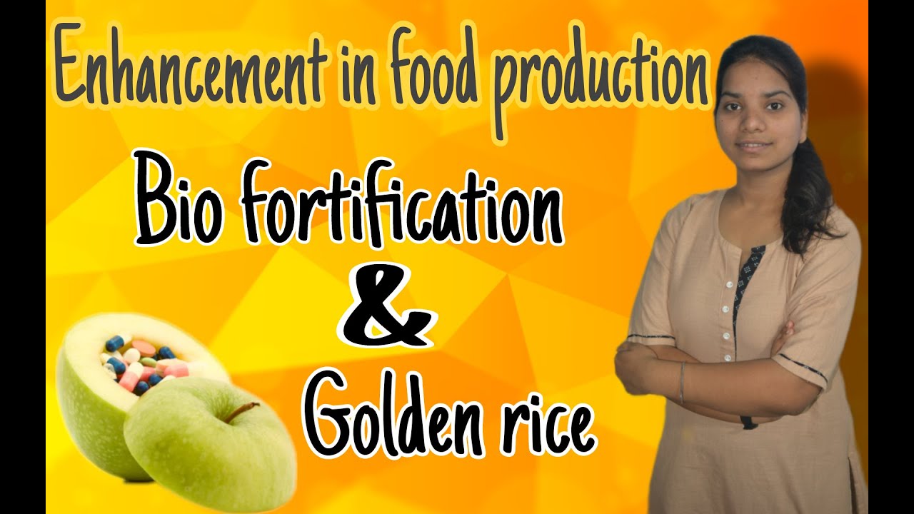 Biofortification & Golden Rice with pictures/Enhancement in food ...