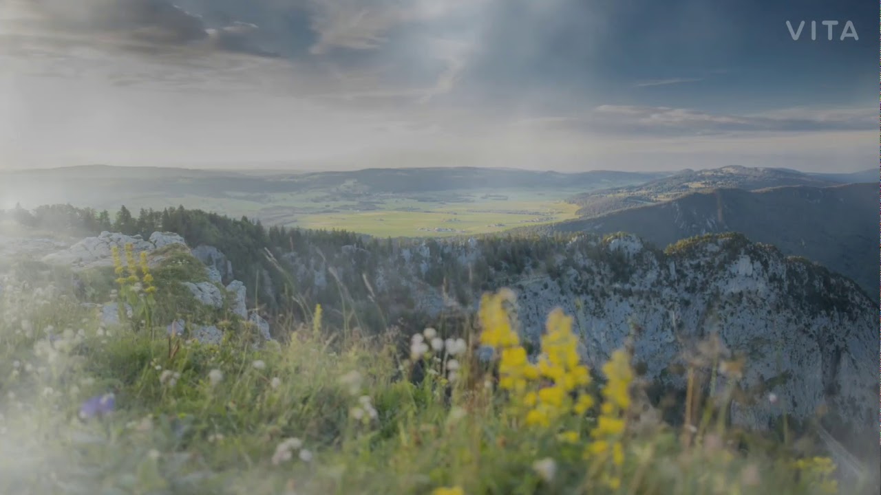 I M YOURS || CHILL MUSIC || COLSON MUSIC - YouTube