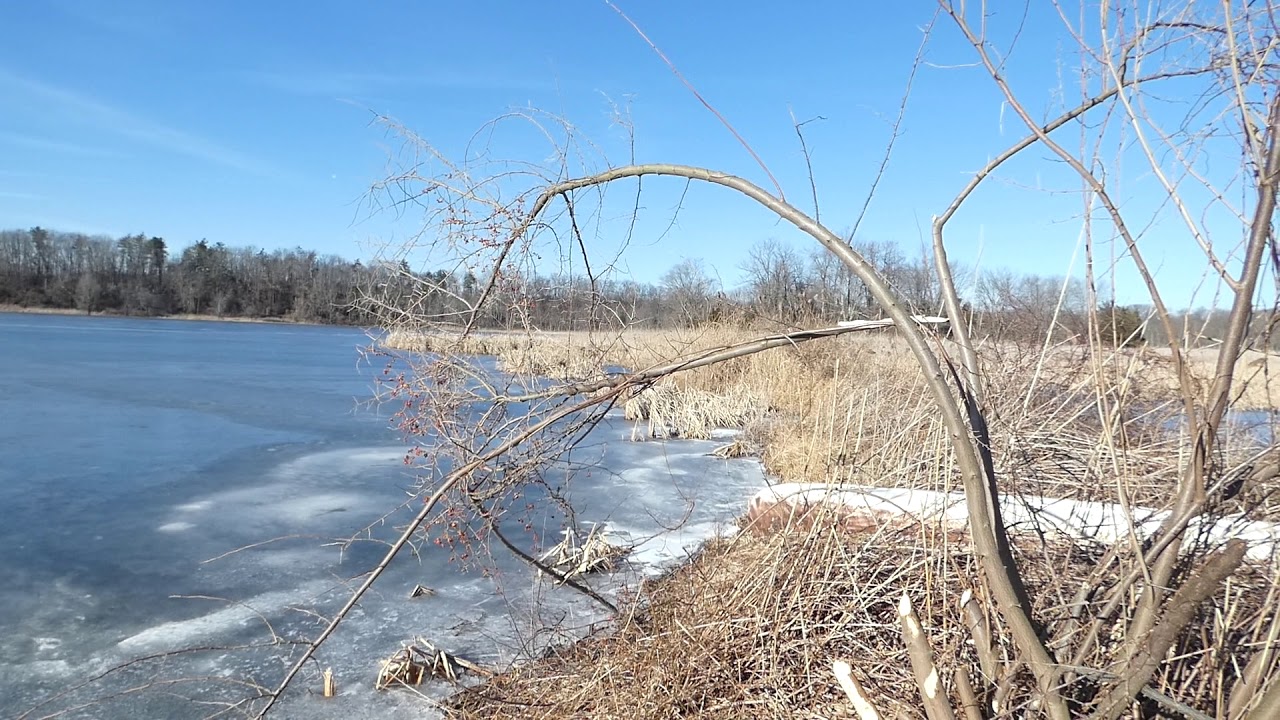 Hyper Humus Marsh, New Jersey - December 24, 2019 - YouTube