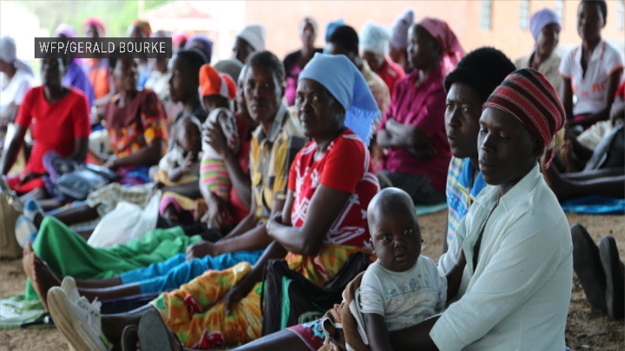 Zimbabwe faces drought, economic crisis: WFP - YouTube