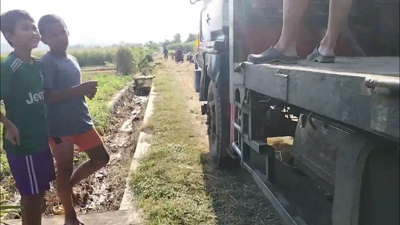 TRUK TEBU TERGULING DI SAWAH AKIBAT MUATAN OVER LOAD JALAN AMBLAS PROSES EVAKUASI MENGGUNAKAN ...