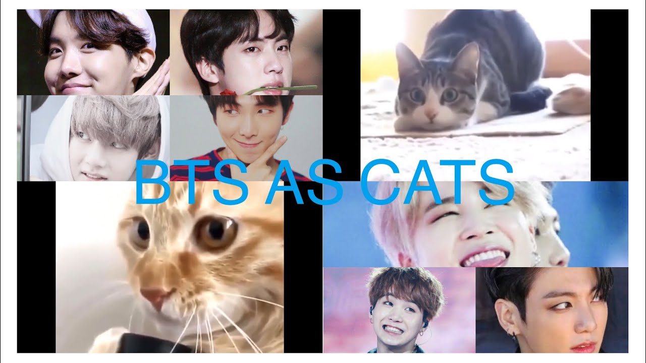 BTS as cats - YouTube