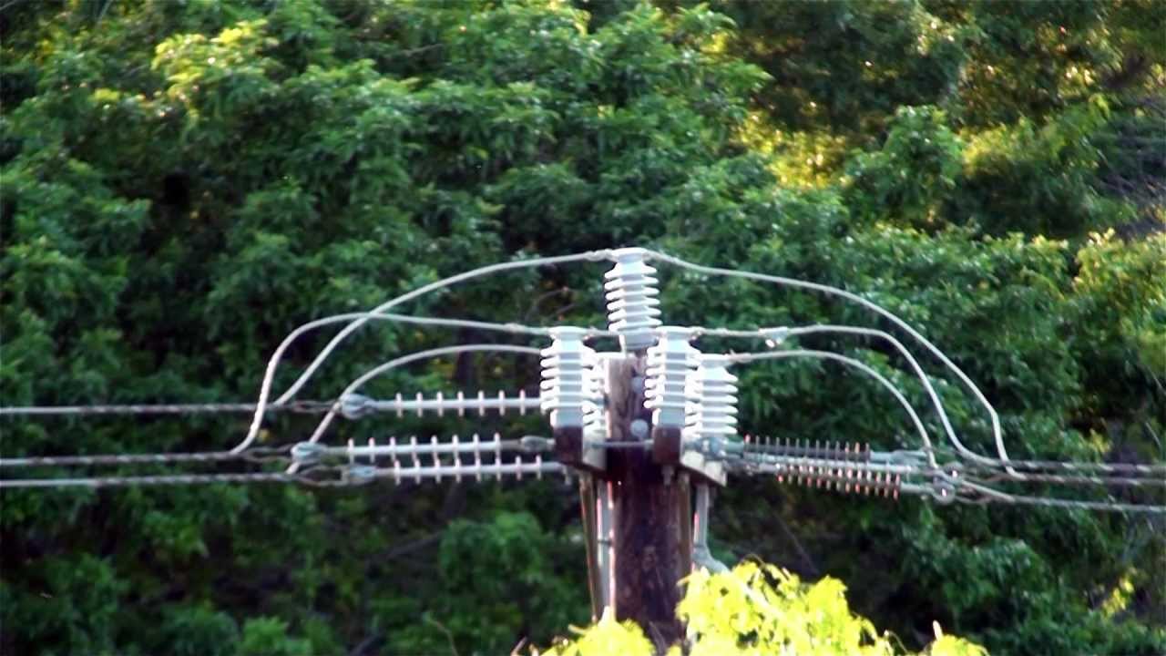 Rods Orbs and other assorted critters April 2012 - YouTube