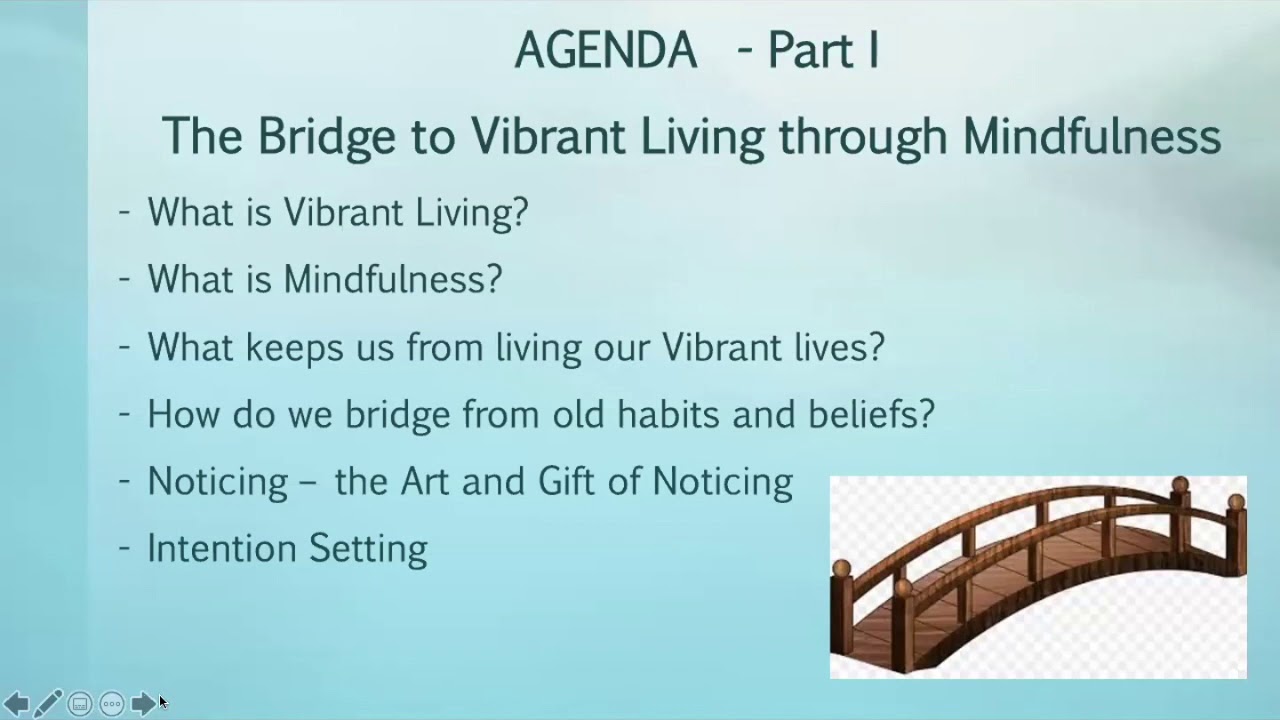 Vibrant Living Through Mindfulness Part One: The Bridge to Mindfulness ...