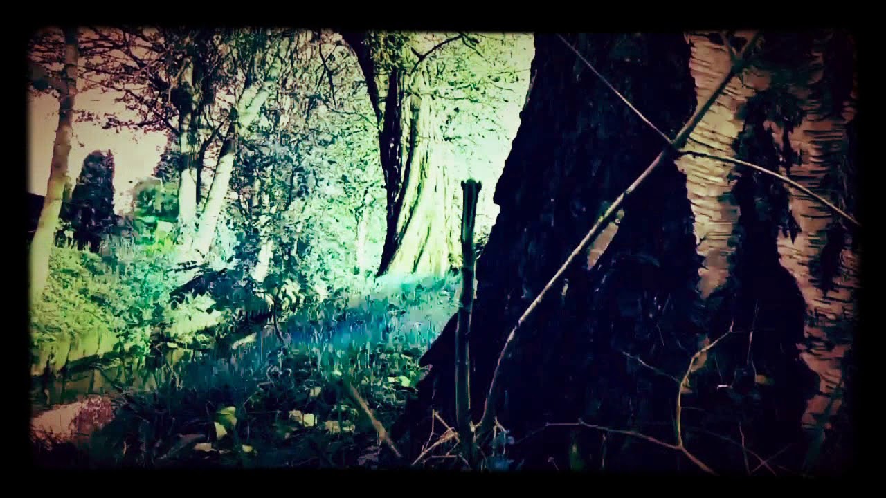 Watling gate Crocodile - YouTube