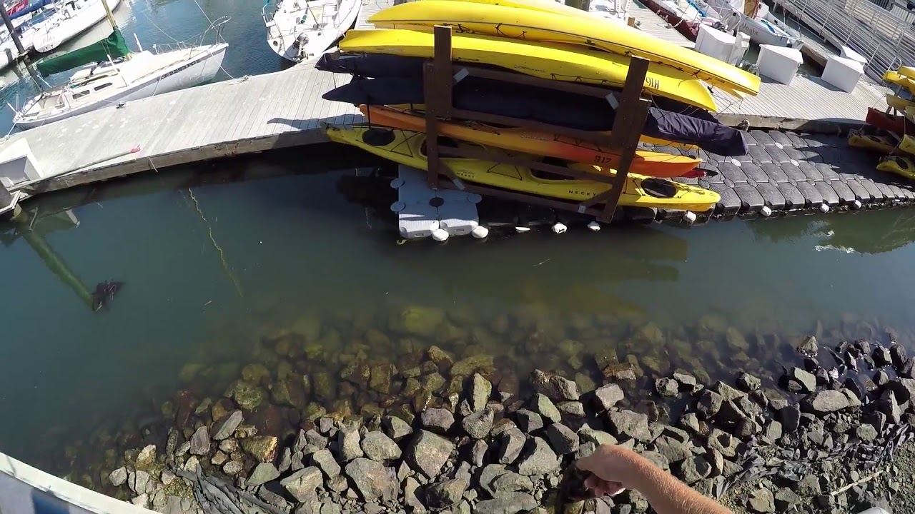 SANTA CRUZ HARBOR JIG FISHING (GULP GHOST SHRIMP) - YouTube