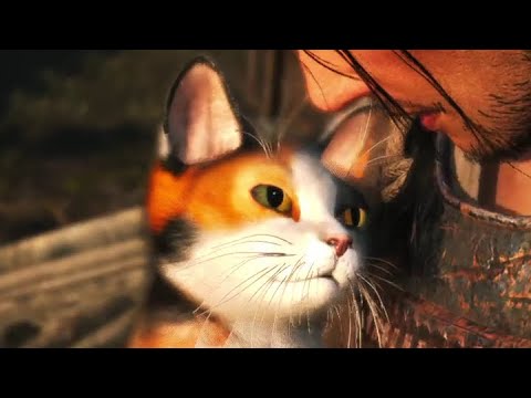 All Tobe Cat Locations And Capture Guide Rise of The Ronin - YouTube