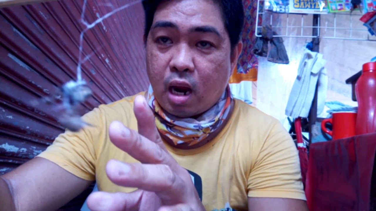 Tapang sa tapang nag ka tapatan - YouTube