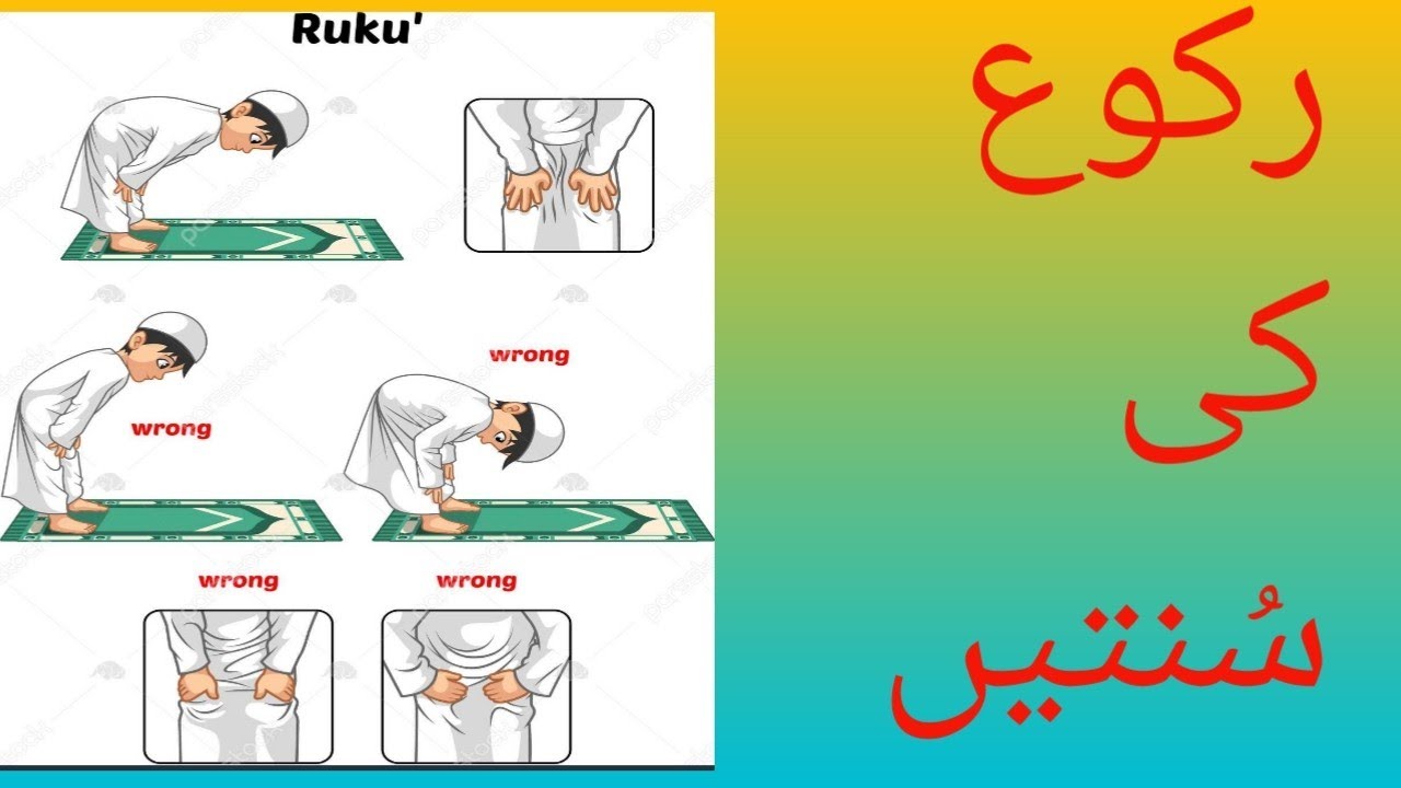 Namaz|Ruku'u Ki Sunnatien |05| Namaz Ka Tareeqa || #12 || By Amli Namaz ...