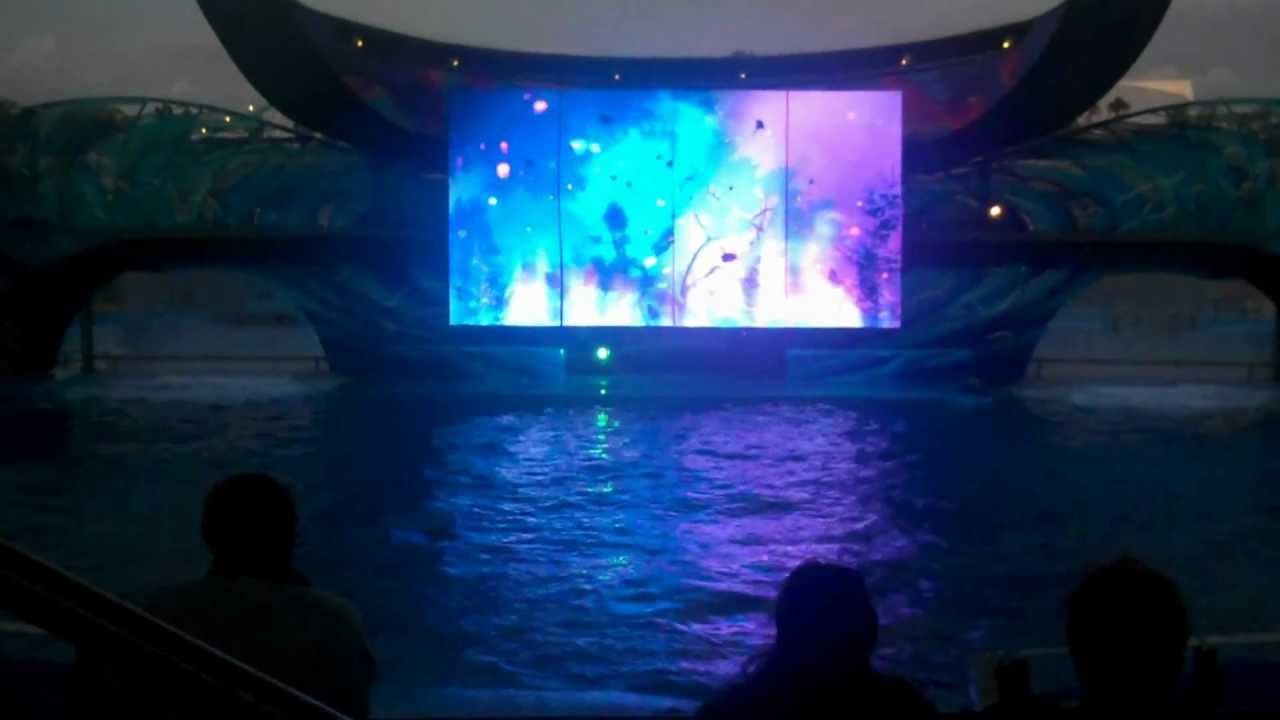 SeaWorld, Orlando - Shamu Rocks - YouTube