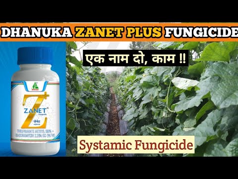 ZANET PLUS FUNGICIDE|dhanuka zanet plus|Thiophanate Methyl|Kasugamycin ...